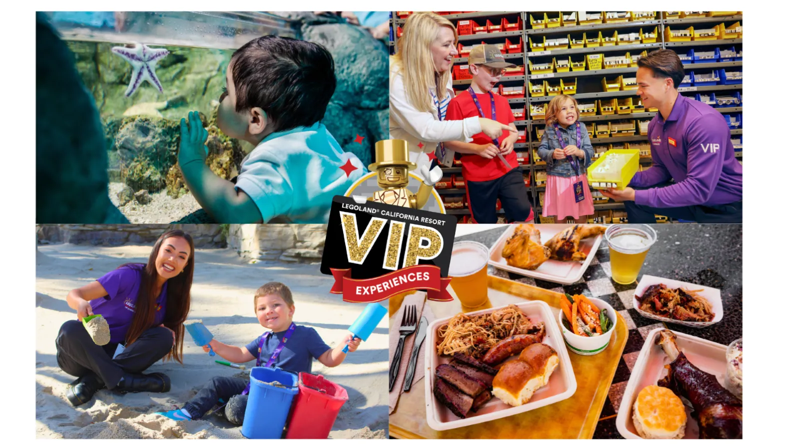 VIP Experiences | Tickets & Passes | LEGOLAND California